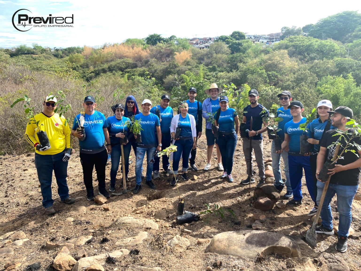Inicio - Previred Colombia